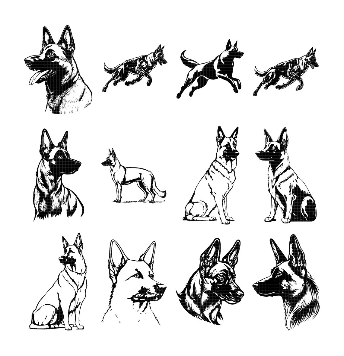 Belgian Malinois SVG Mega Bundle Drawing, Full Body, Peeking ...