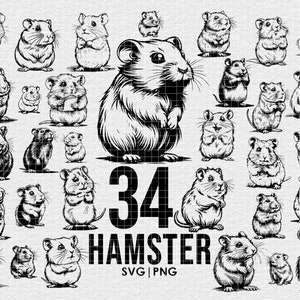 Hamster Vector Illustration, Svg Png Bundle, Digital Download, for ...