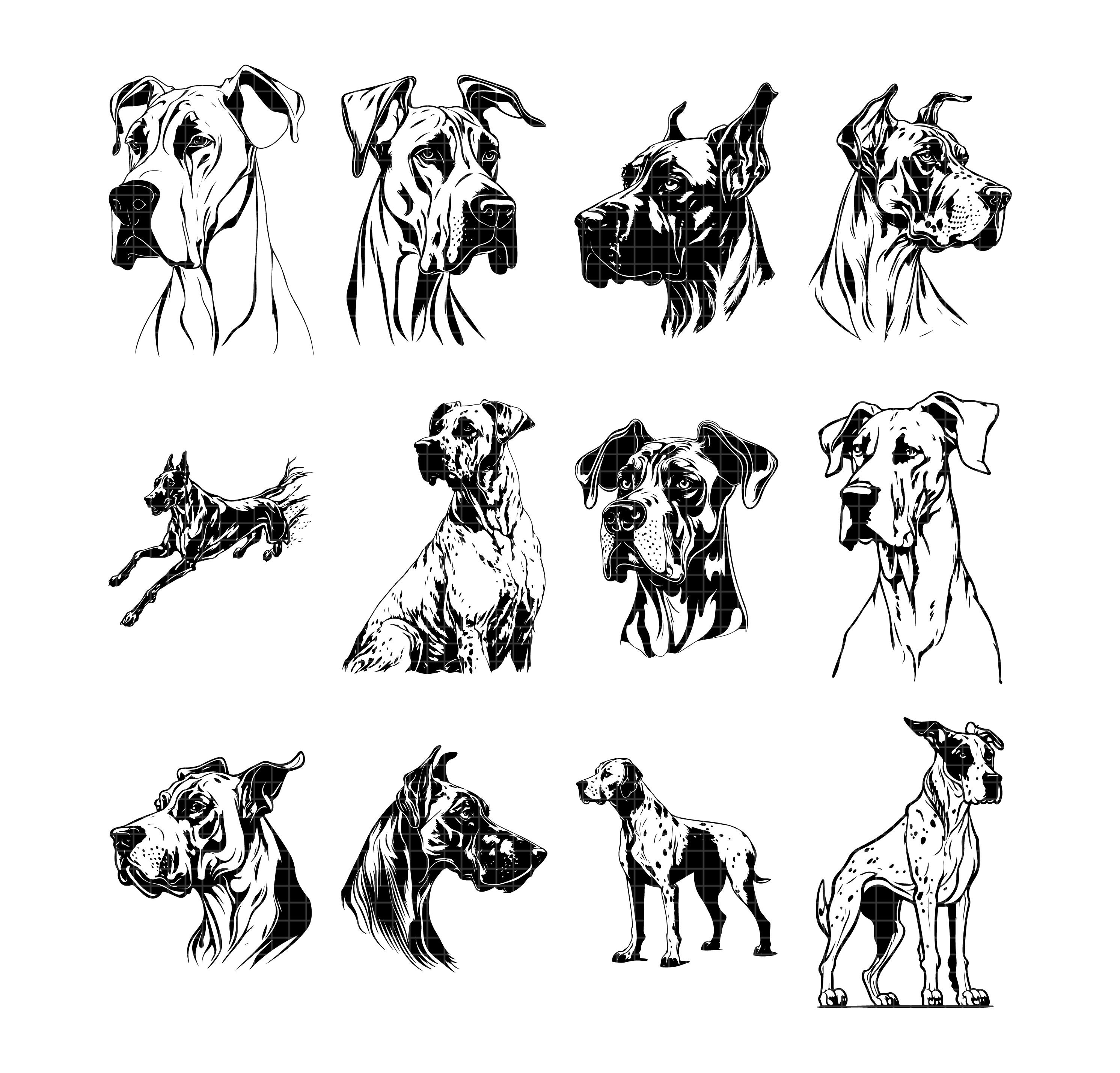 26 - Great danes Svg Bundle| Dog Svg Files for Cricut| Peeking Dog ...