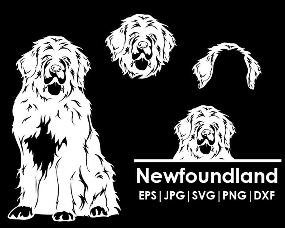 Newfoundland Dog Head, Full Body, Peeking, Dog Ear, Files Cricut ...