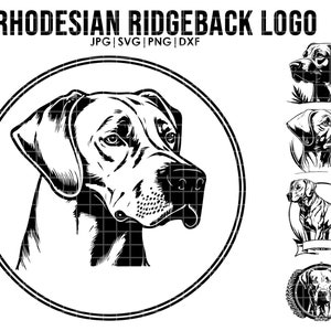 17 Rhodesian Ridgeback Dog Svg Bundle | Svg, Cricut | Peeking Dog ...