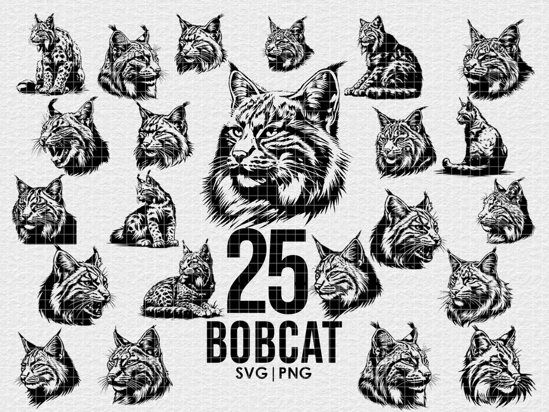 Bobcat Vector Illustration Bundle, Svg Png Bundle, Digital Download ...