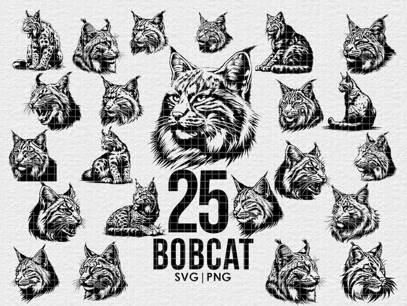Bobcat Vector Illustration Bundle, Svg Png Bundle, Digital Download ...