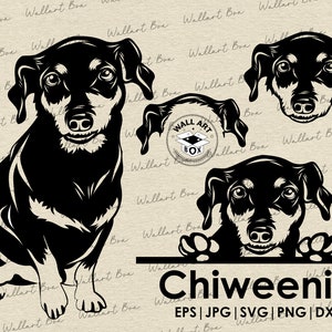 Chiweenie Dog SVG Cricut| Cute Puppy Clipart| Vector Image DXF Download ...