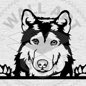 Siberian Husky Svg- Face-dog Svg Files for Cricut- Peeking Dog Full ...
