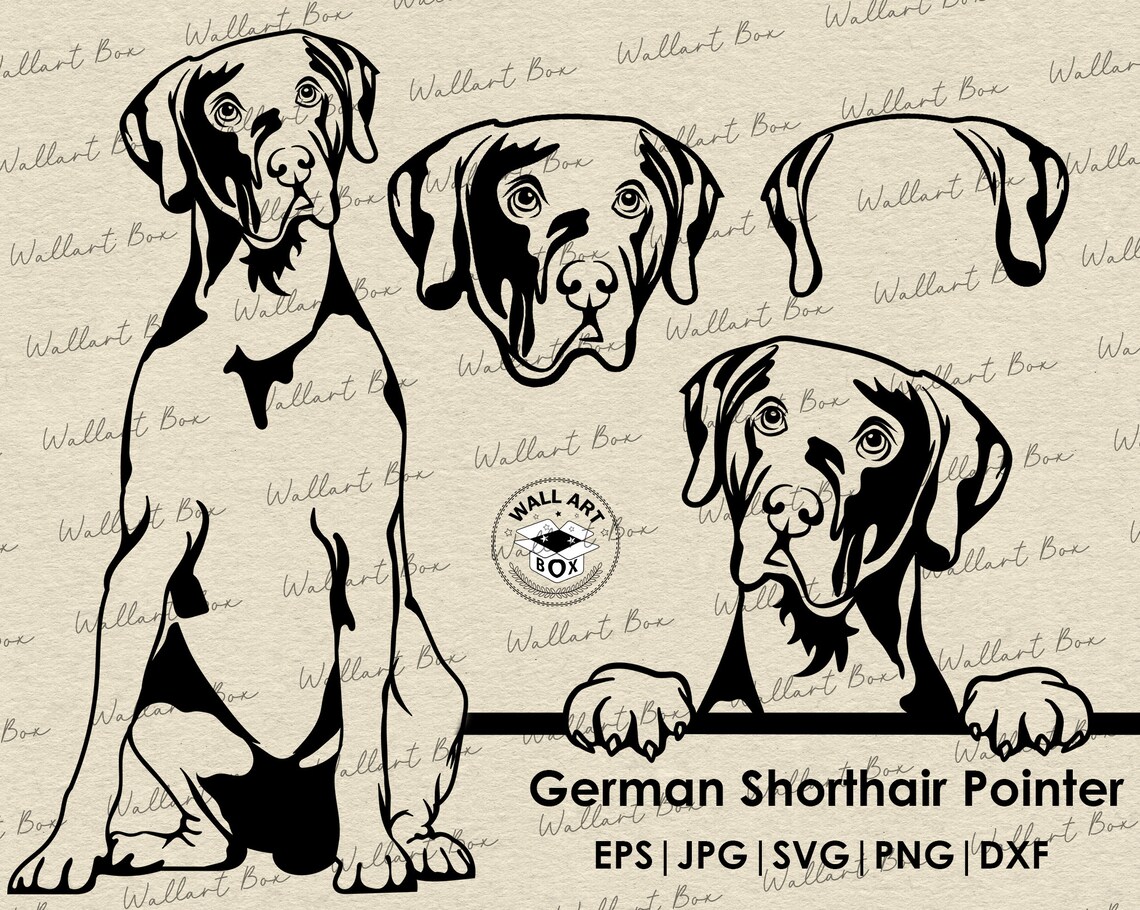 German Shorthair Pointer Dog SVG Cricut Clipart Vector Image - Etsy