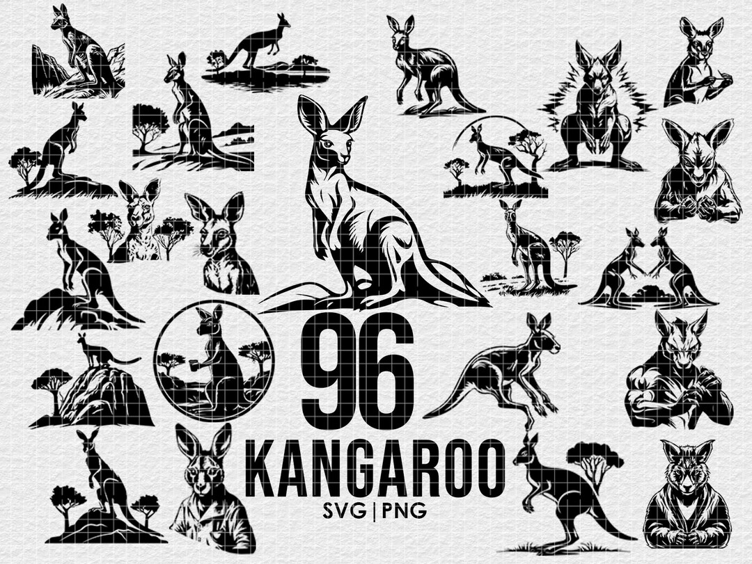 Kangaroo Vector Illustration Bundle, Svg Png Bundle, Digital Download ...