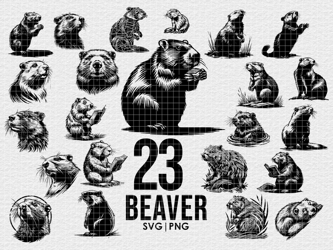 BEAVER Vector Illustration Bundle, Svg Png Bundle, Digital Download ...