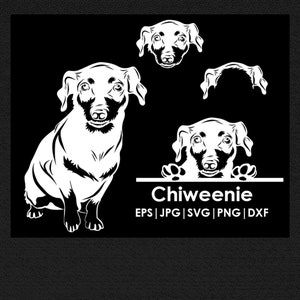 Chiweenie Dog Head, Full Body, Peeking, Dog Ear, Files Cricut| Clipart ...