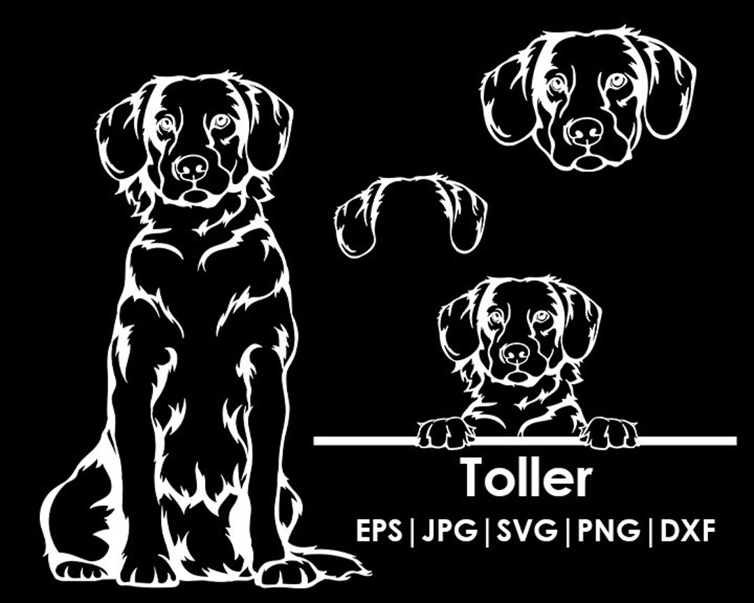 Toller Dog Head, Full Body, Peeking, Dog Ear, Files Cricut| Clipart ...