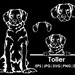 Toller Dog Head, Full Body, Peeking, Dog Ear, Files Cricut| Clipart ...