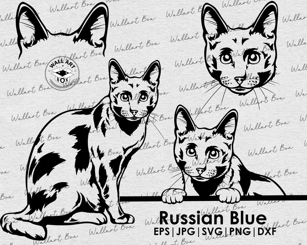Russian Blue Cat SVG Cricut| Kitten Clipart| Vector Image DXF Download ...