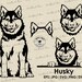 Husky Dog Peeking-ear Svg Face-dog Svg Files for Cricut Peeking Dog ...