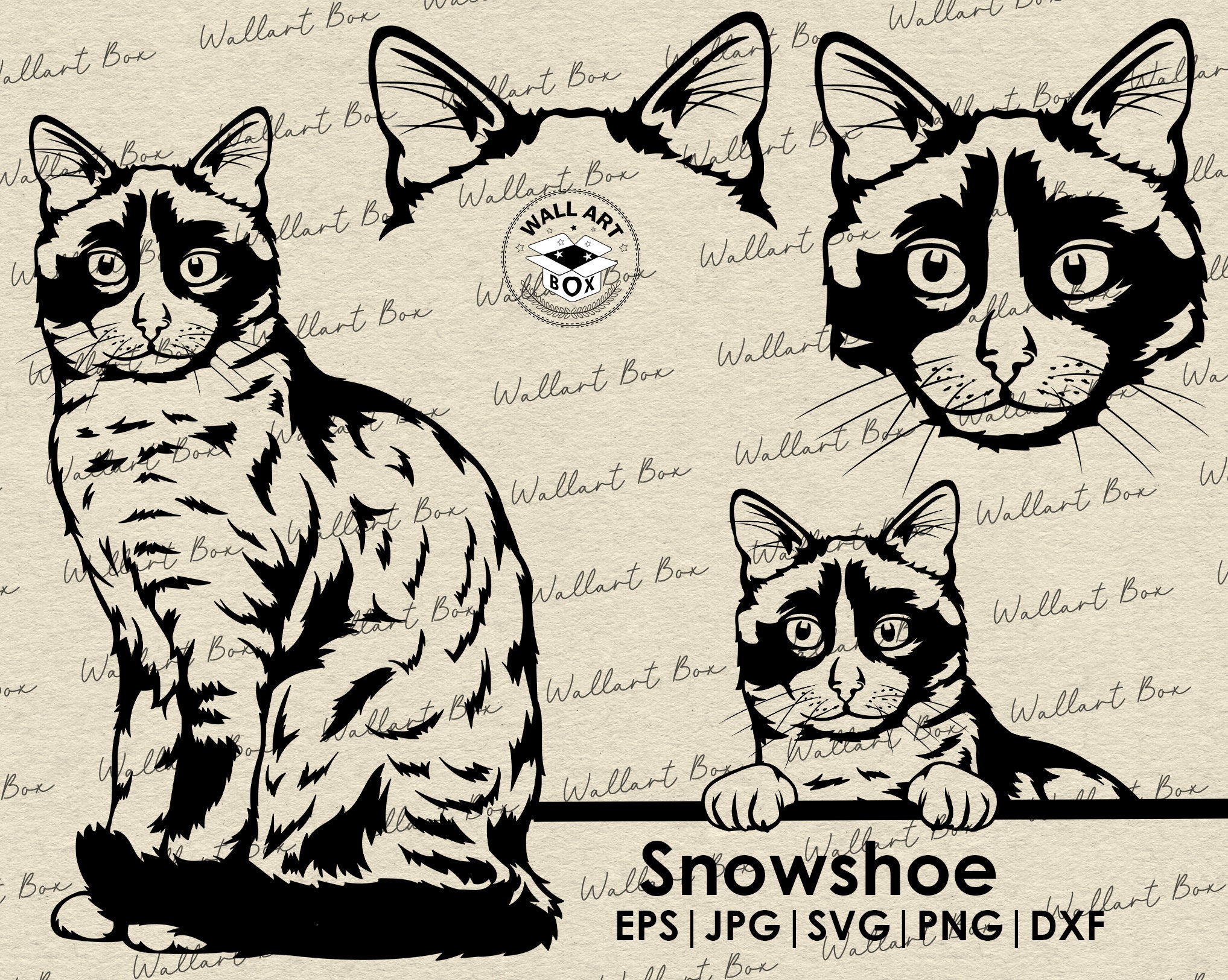 Snowshoe Cat Svg Cat Full Body Peeking Head Ears Files Cricut - Etsy