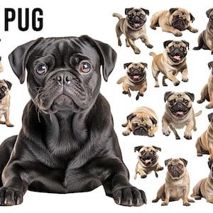 Pug Dog Breeds Clipart Bundle, Dog Sublimation Designs, Dog Breeds PNG ...