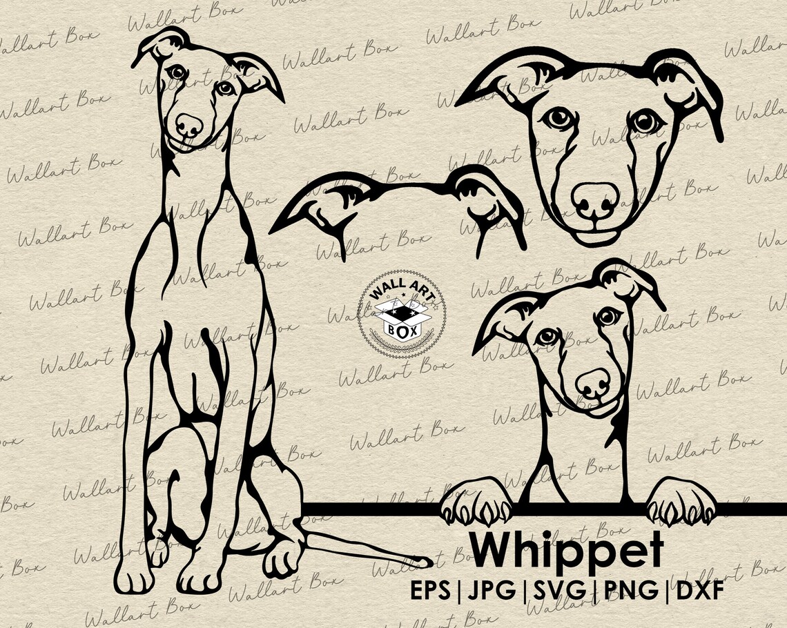Whippet Dog Svg Dog Full Body Peeking Head Ears Files Cricut - Etsy