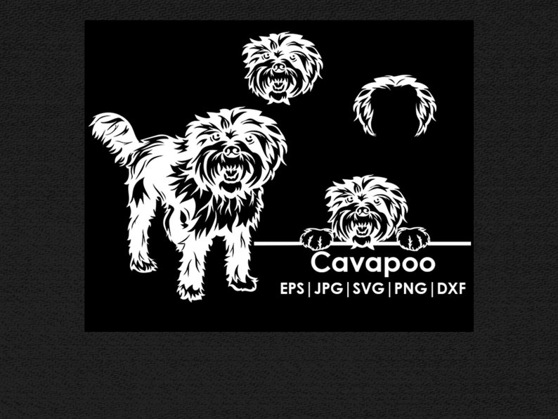 Cavapoo Dog Head, Full Body, Peeking, Dog Ear, Files Cricut| Clipart ...