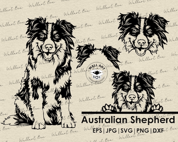 Australian Shepherd Svg Dog Svg Files for Cricut Peeking Dog - Etsy