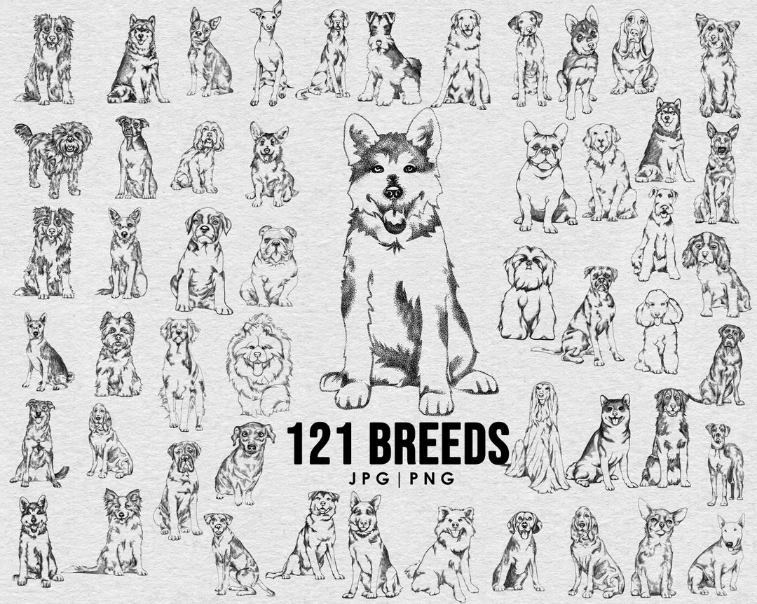 121 Breed Dog Mega Bundle Drawing Png, Jpg Bundle, Playful Fullbody Dog ...