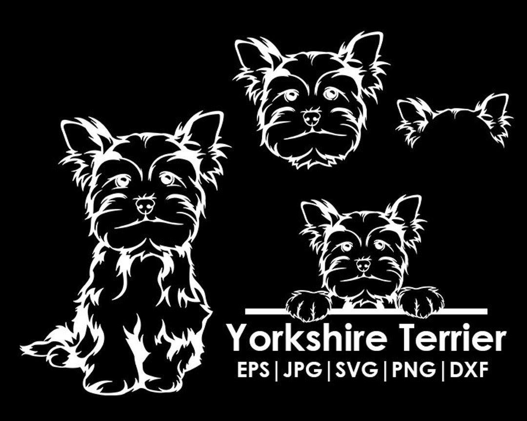 Yorkshire Terrier Dog Head, Full Body, Peeking, Dog Ear, Files Cricut ...