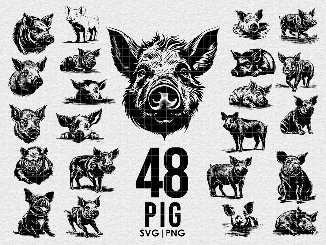 Pig Vector Illustration, Svg Png Bundle, Digital Download, for Cricut ...
