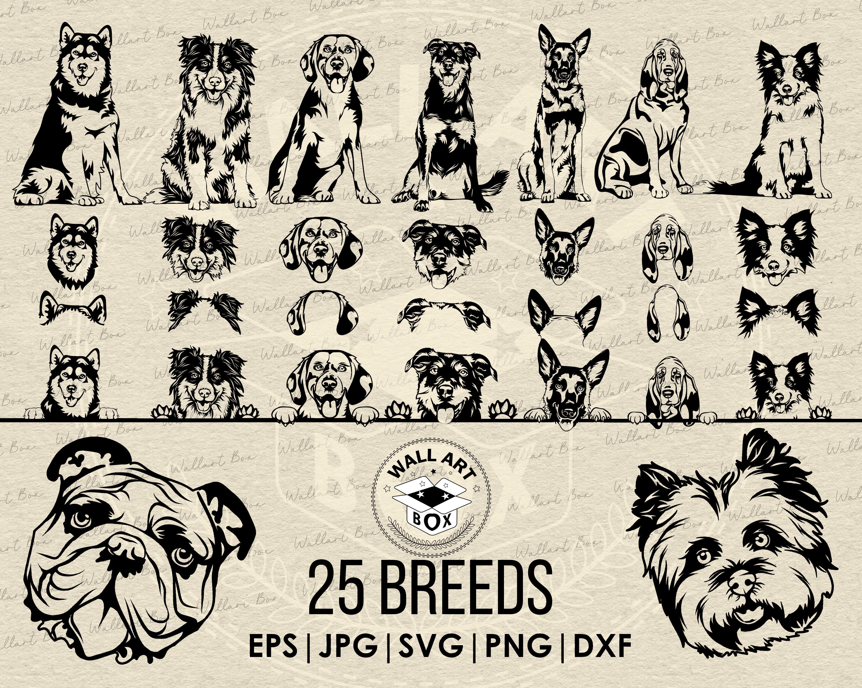 25 Breed Dog Drawing SVG Png Eps Dxf Jpg Bundle Playful - Etsy