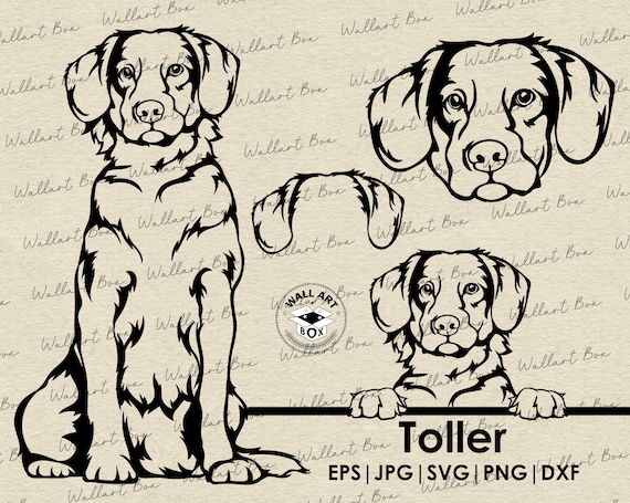 Toller Dog SVG Cricut Puppy Clipart Vector Image DXF - Etsy