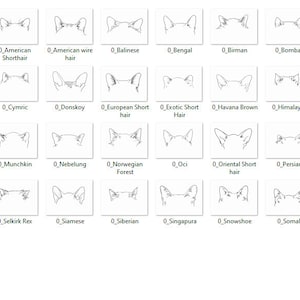 Cat Ears Line Drawing Bundle | 50 Cat Breeds Ears | Kitten Svg| Line ...