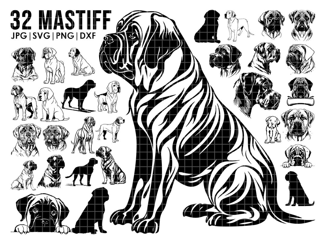 32 Mastiff Dog SVG Mega Bundle Drawing Ear,full Body,peeking,silhouette ...