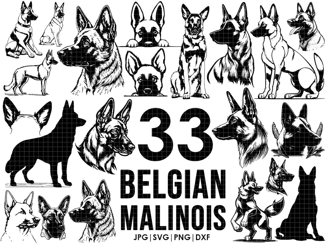Belgian Malinois SVG Mega Bundle Drawing, Full Body, Peeking ...