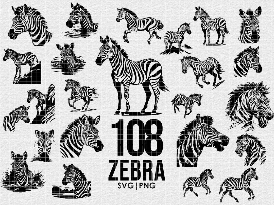 Zebra Vector Illustration Bundle, Svg Png Bundle, Digital Download, for ...