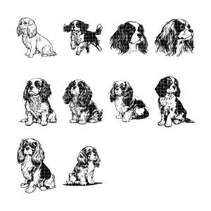 31 Cavalier king charles spaniels Svg Bundle| Svg, Cricut| Peeking Dog ...