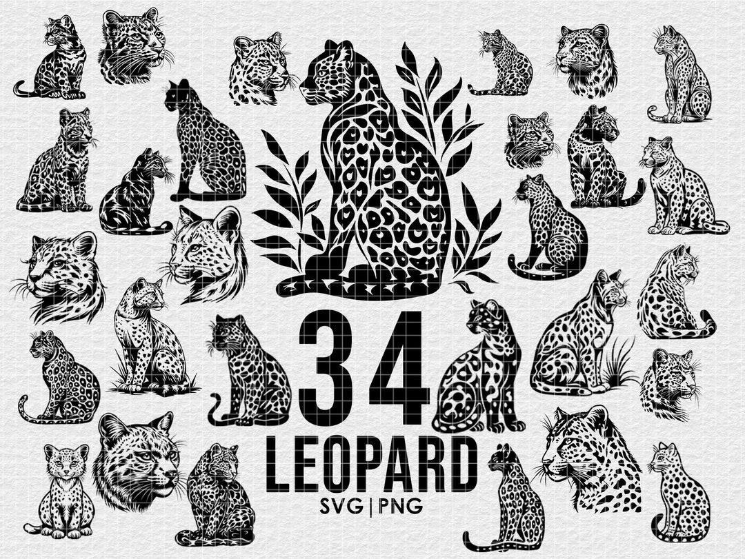 Leopard Vector Illustration Bundle, Svg Png Bundle, Digital Download ...