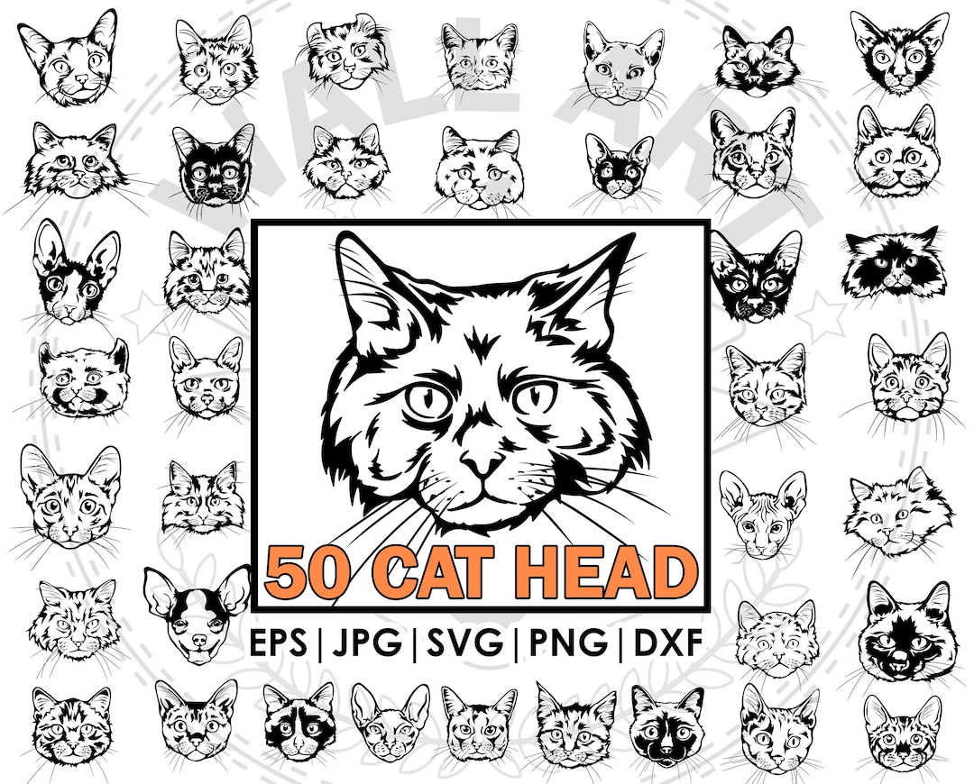 50 Breed Cat Head Mega Bundle Drawing SVG, Png, Eps, Dxf, Jpg Bundle ...