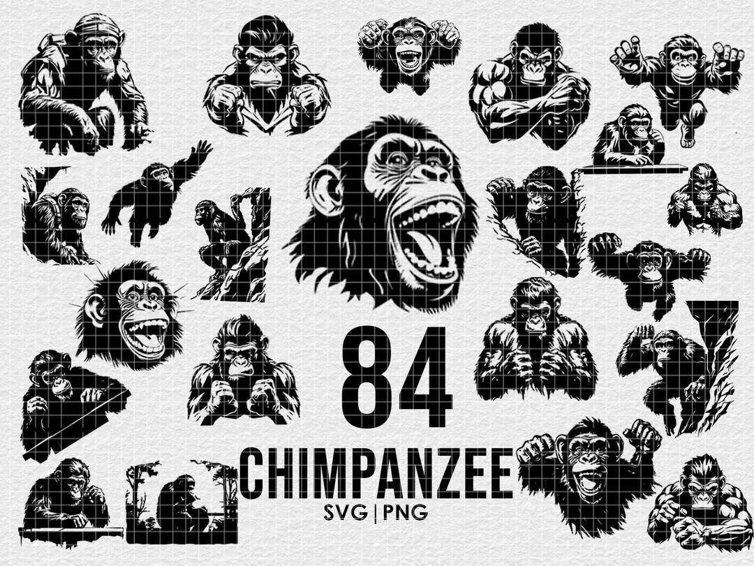 Chimpanzee Vector Illustration Bundle, Svg Png Bundle, Digital Download ...