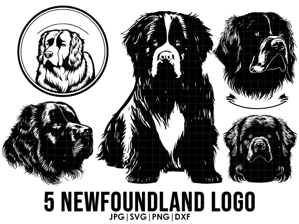 40 - Newfoundland Dog Svg Bundle| Svg, Cricut| Peeking Dog Clipart ...