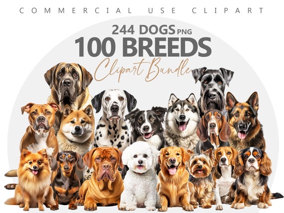 Top 100 Dog Breed Poster