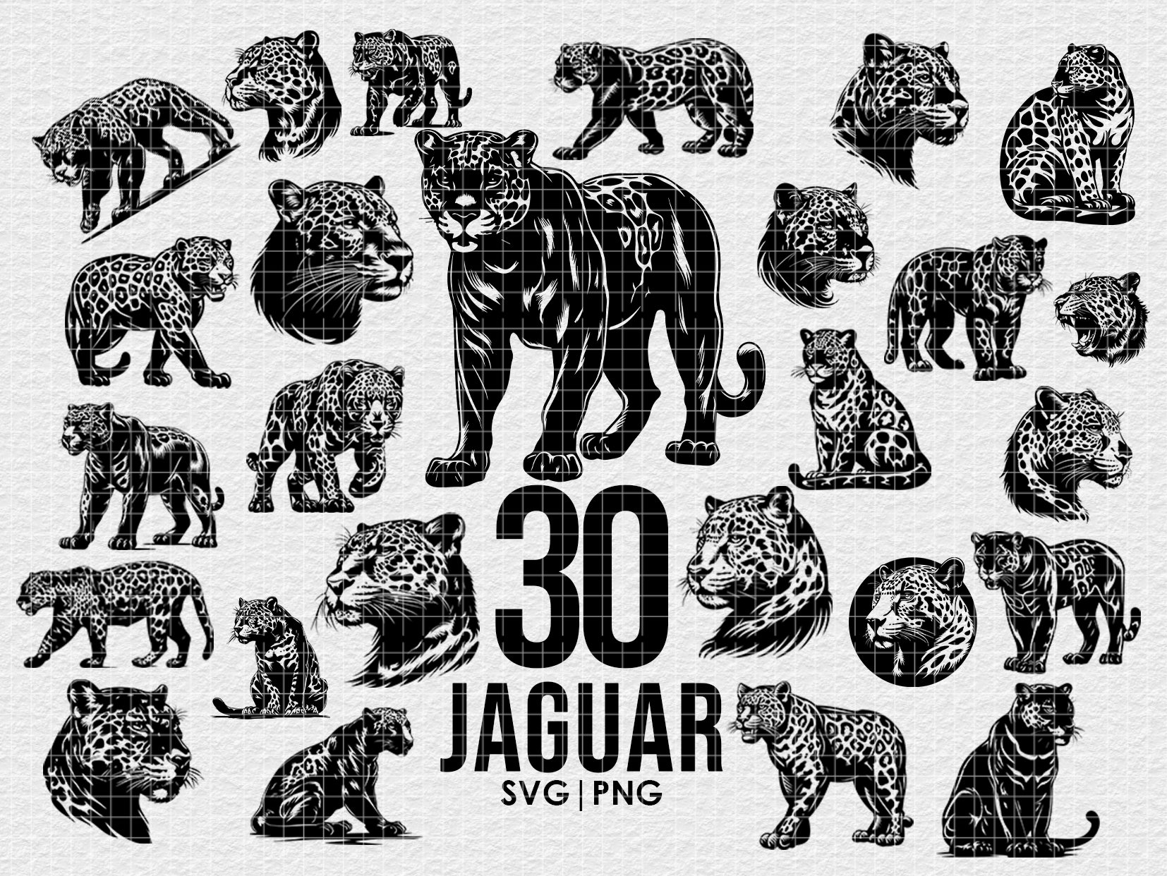 Jaguar Vector Illustration Bundle, Svg Png Bundle, Digital Download ...