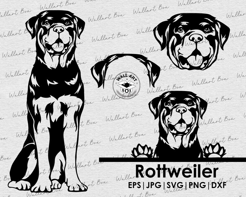Rottweiler Svg Dog Full Body Peeking Head Ears Files Cricut - Etsy