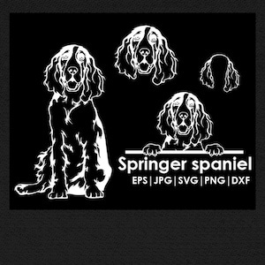 Springer Spaniel Dog Head, Full Body, Peeking, Dog Ear, Files Cricut ...