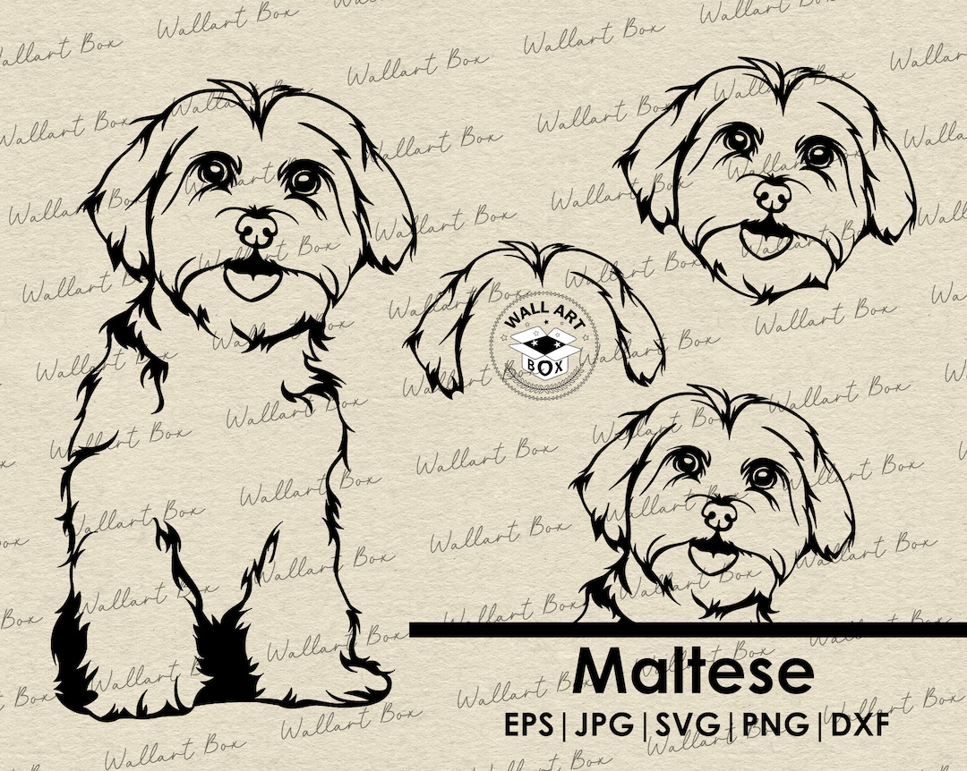Maltese Svg Dog Full Body Peeking Head Ears Files for Cricut| Clipart ...