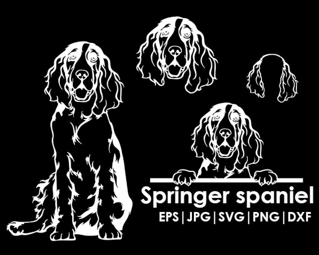 Springer Spaniel Dog Head, Full Body, Peeking, Dog Ear, Files Cricut ...