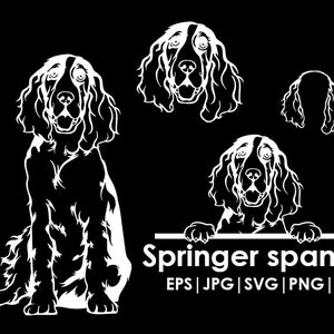 Springer Spaniel Dog Head, Full Body, Peeking, Dog Ear, Files Cricut ...