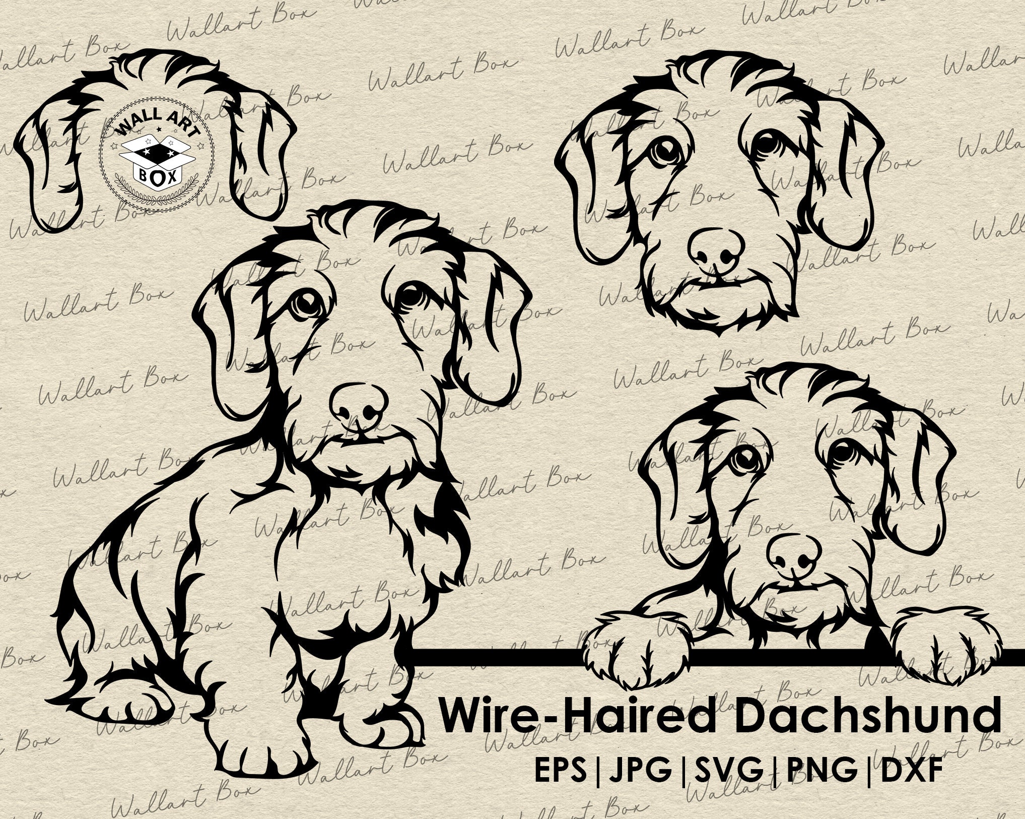 Wire-haired Dachshund Svg Dog Svg Files for Cricut Peeking - Etsy Australia