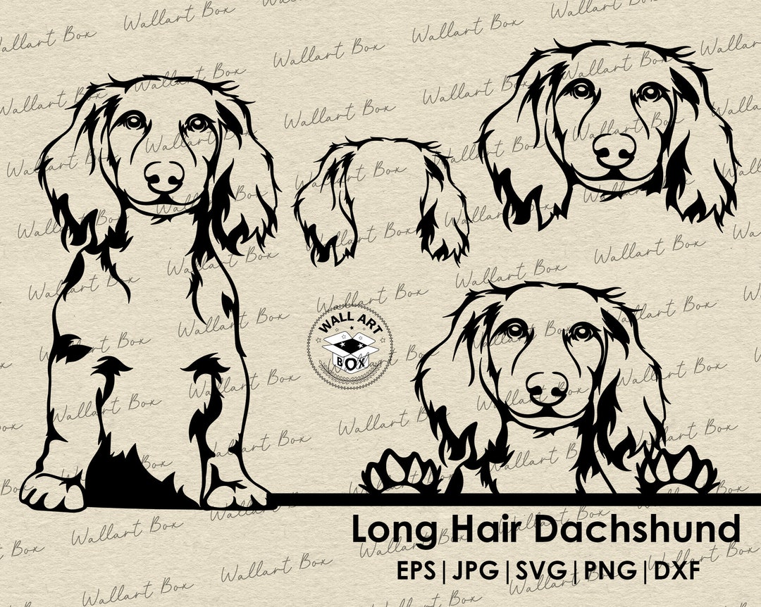 Long Hair Dachshund Svg Cut File Dog Peeking for Cricut| Dachshund Full ...