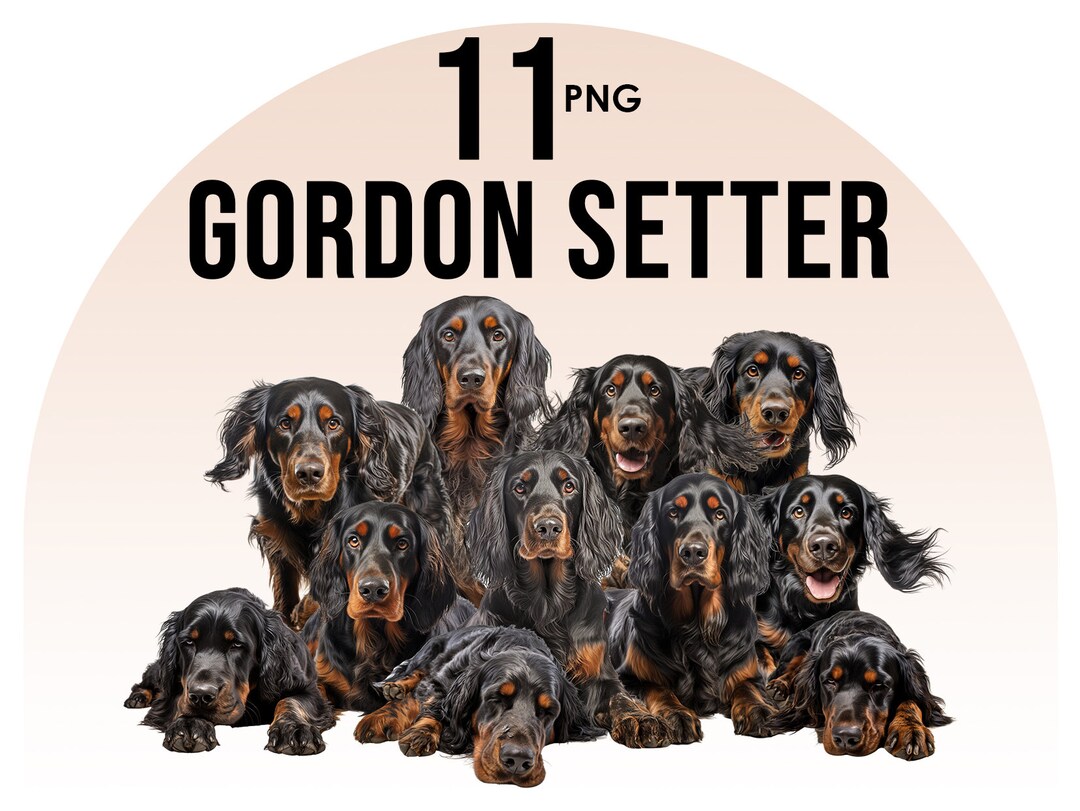 Gordon Setter Dog Breeds Clipart Bundle, Dog Sublimation Designs, Dog ...