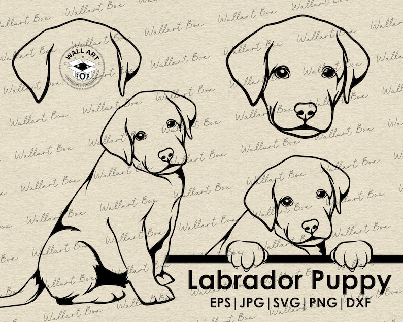 Labrador Puppy Svg Cute Puppy Face-dog Svg Files for Cricut - Etsy