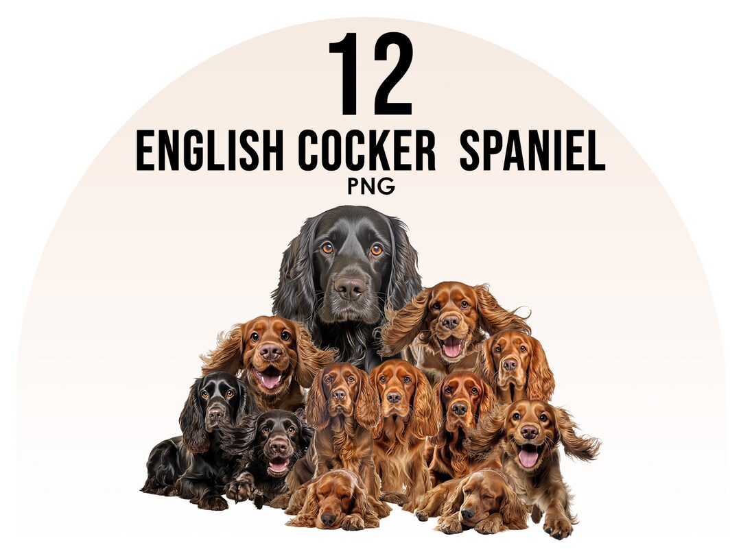 English Cocker Spaniel Dog Breeds Clipart Bundle, Dog Sublimation ...
