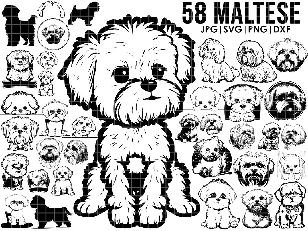 58 Maltese Dog Svg Bundle| Svg, Cricut| Peeking Dog Clipart| Vector ...