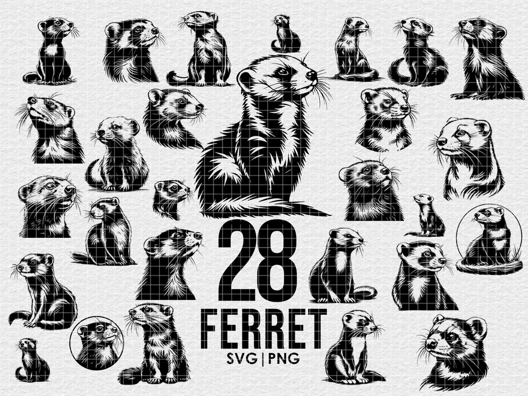 Ferret Vector Illustration, Svg Png Bundle, Digital Download, for ...